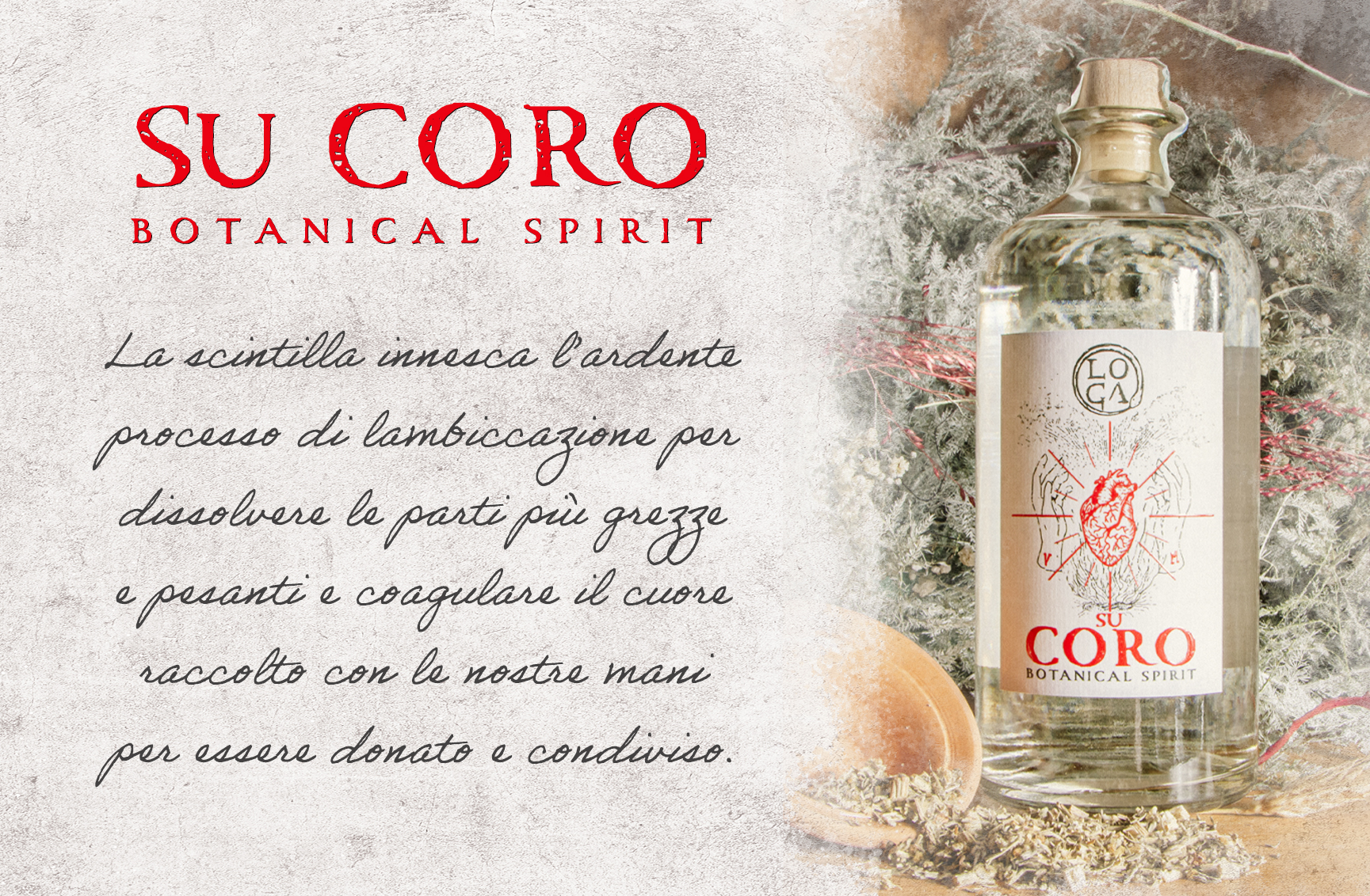 Sostieni DISTILLERIA LOGA #neberremodellebelle | Eppela