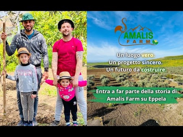 Amalis Farm - La Fattoria che vorrei | Eppela